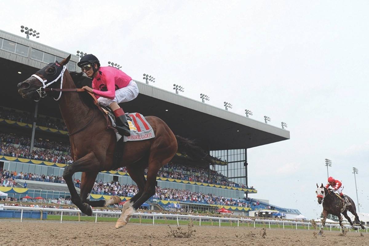 Filly Wonder Gadot, Canada’s top thoroughbred last year, returns to ...